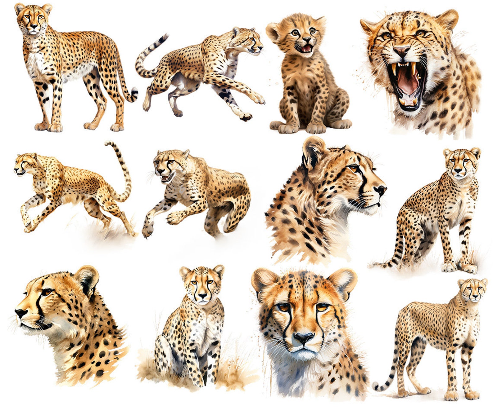 Watercolor Cheetah Clipart Bundle - 26 Realistic PNG Illustrations for ...