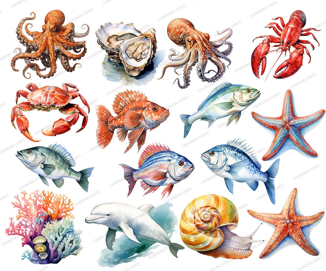 Under Sea Creatures Bundle, Watercolor Ocean Life Clipart Set of Fish ...