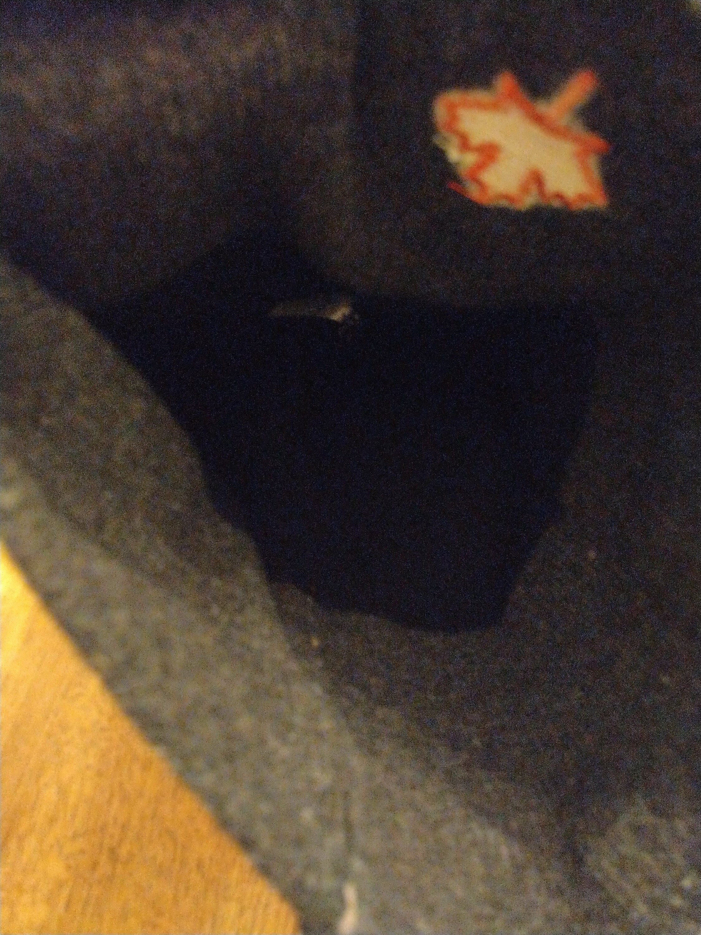 Vintage Toque, Patch From the 80s, Adult M/L - Etsy Canada