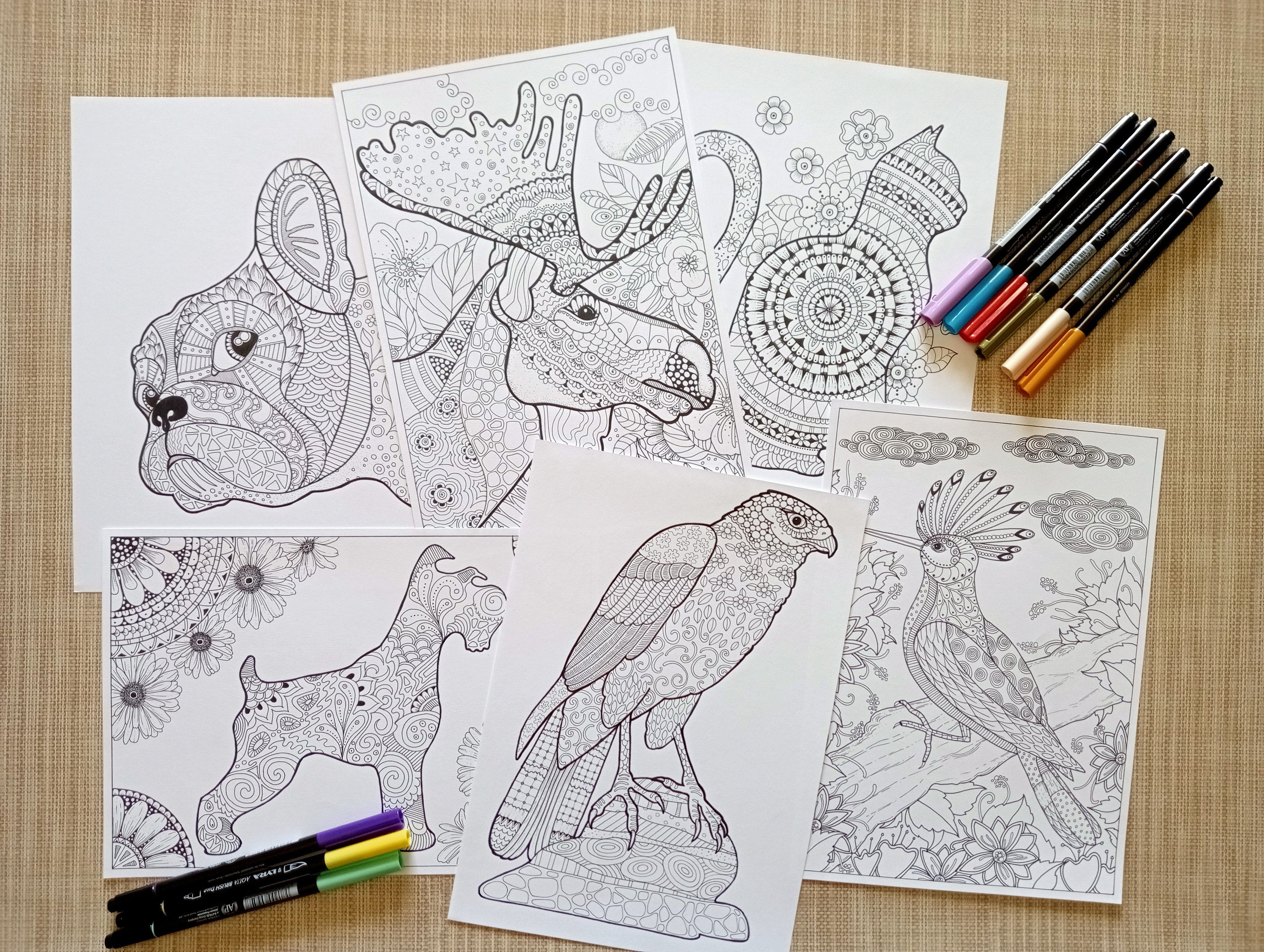 50 ANIMALS Coloring Pages. Digital Download From Bibartworkshop - Etsy