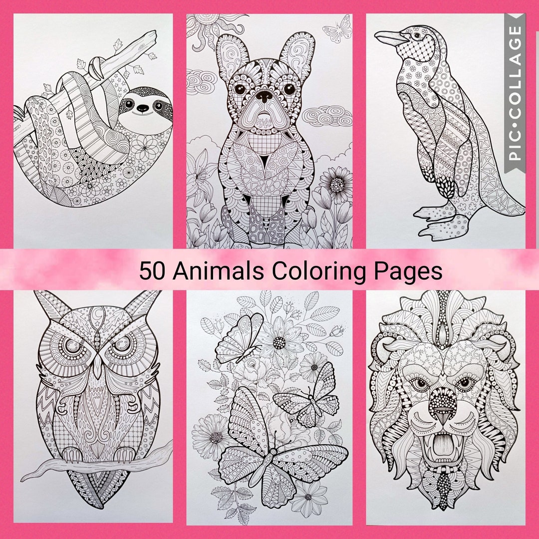 50 ANIMALS Coloring Pages. Digital Download From Bibartworkshop - Etsy