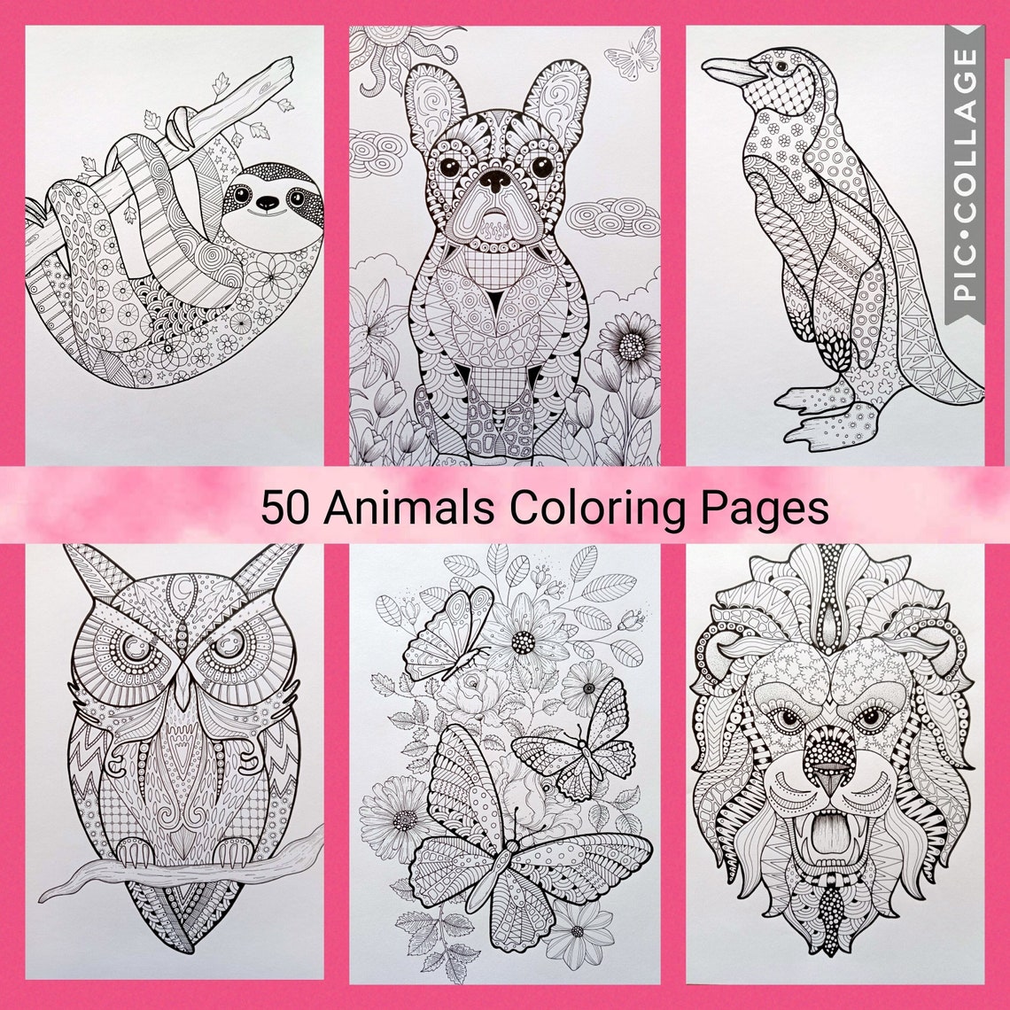 50 ANIMALS Coloring Pages. Digital Download From Bibartworkshop - Etsy