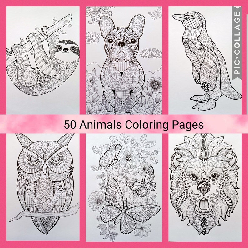 50 ANIMALS Coloring Pages. Digital Download From Bibartworkshop - Etsy