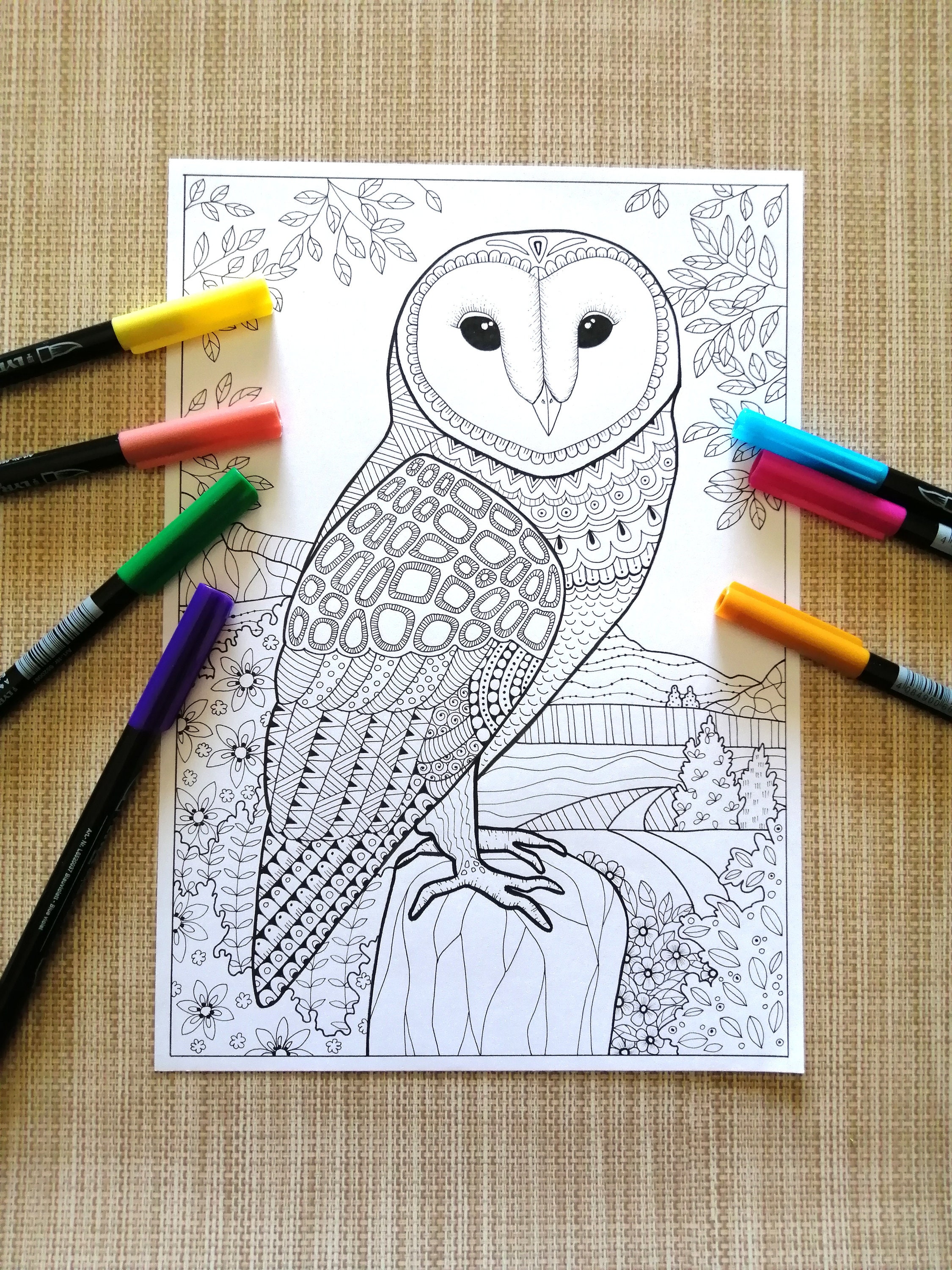 Coloring Pages Of Barn Owls