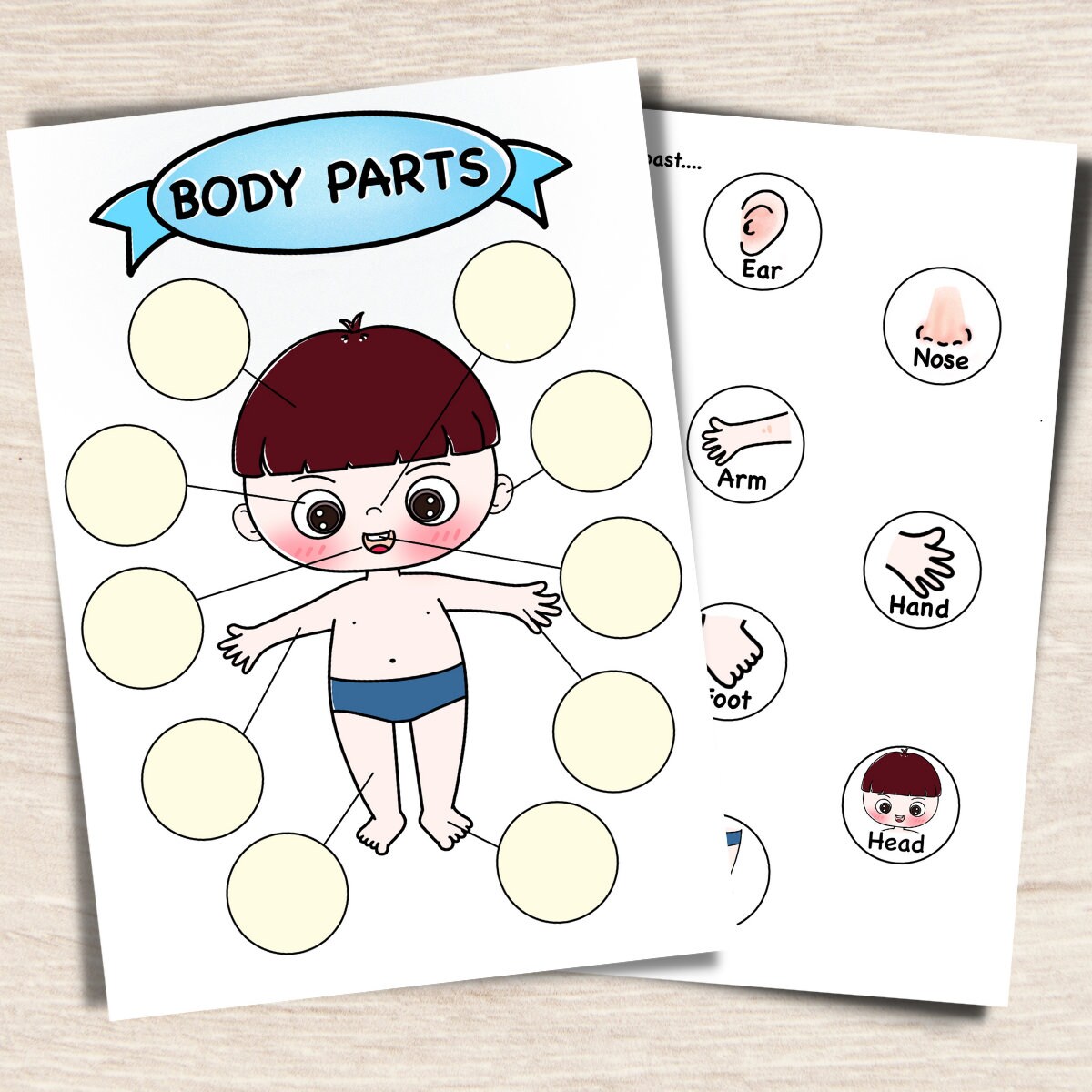 Body Parts Matching Activity Printable, Learning Binder Activity ...