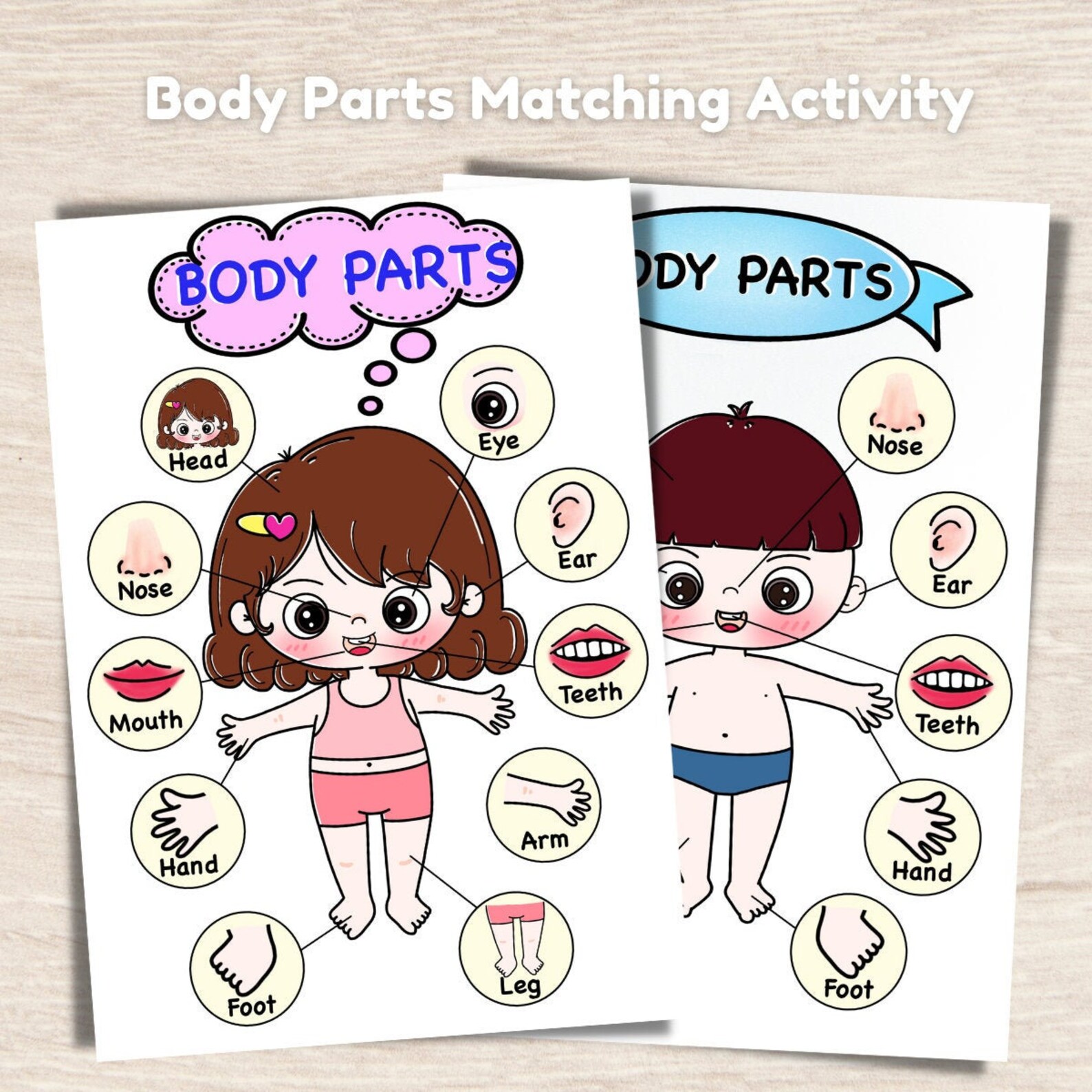 Body Parts Matching Activity Printable, Learning Binder Activity ...