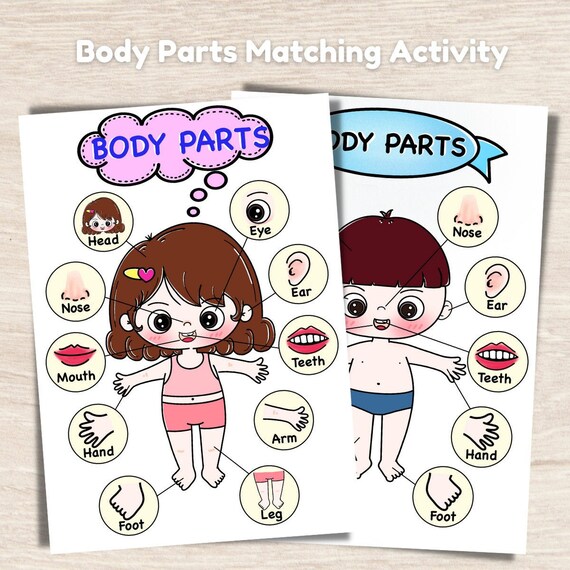 Body Parts Matching Activity Printable Learning Binder | Etsy