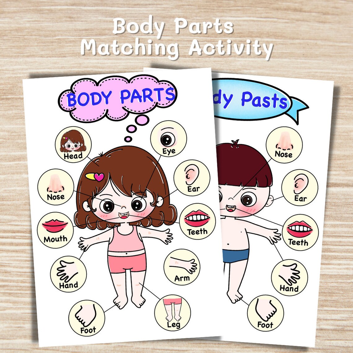 Body Parts Matching Activity Printable Learning Binder | Etsy