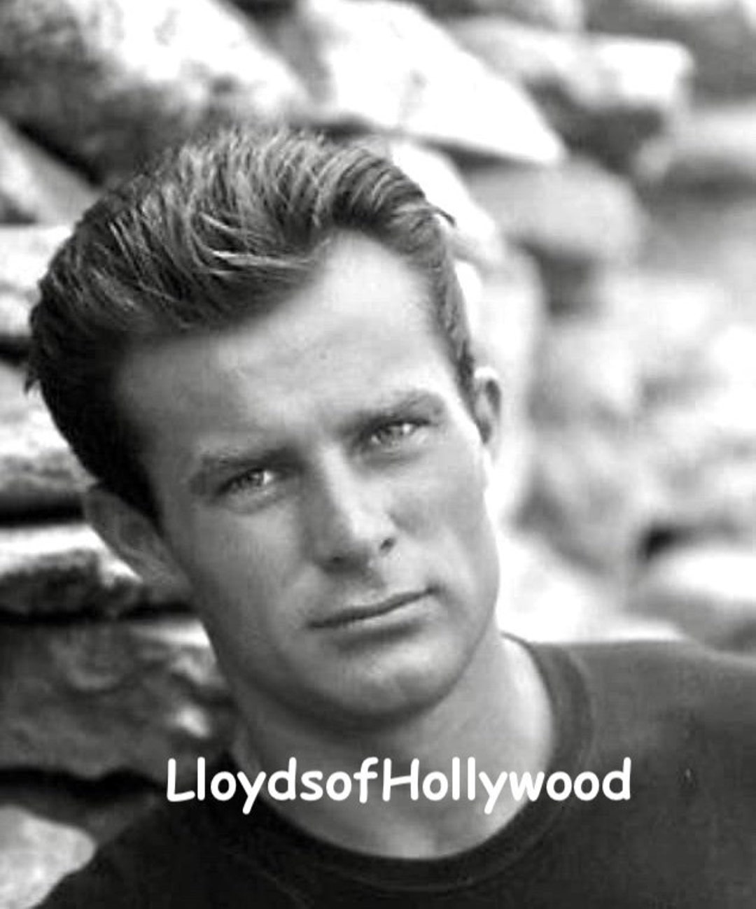 Robert Conrad Handsome Hollywood TV Actor Wild Wild West Photograph ...