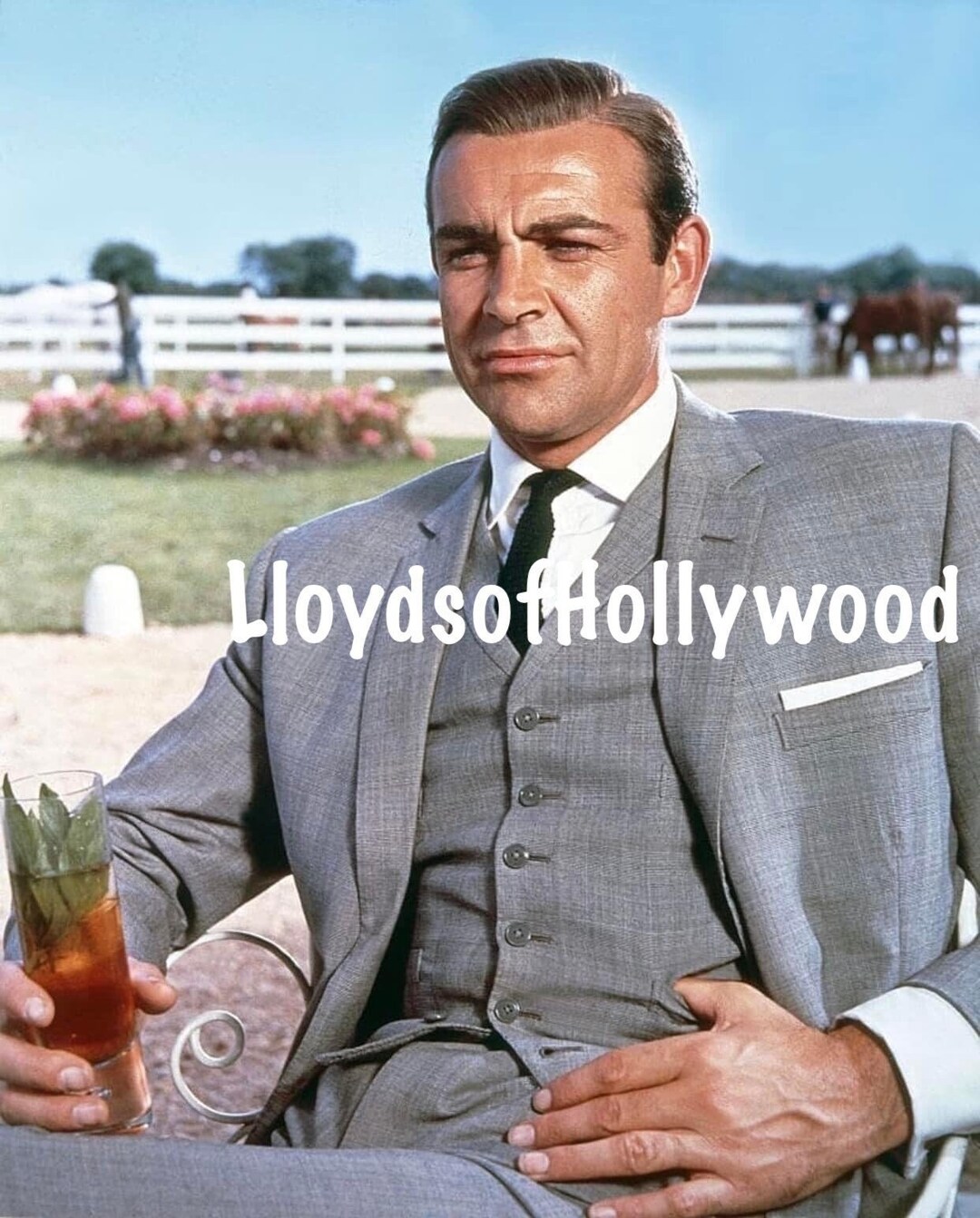 Sean Connery Handsome Scottish Actor James Bond Agent 007 Goldfinger ...