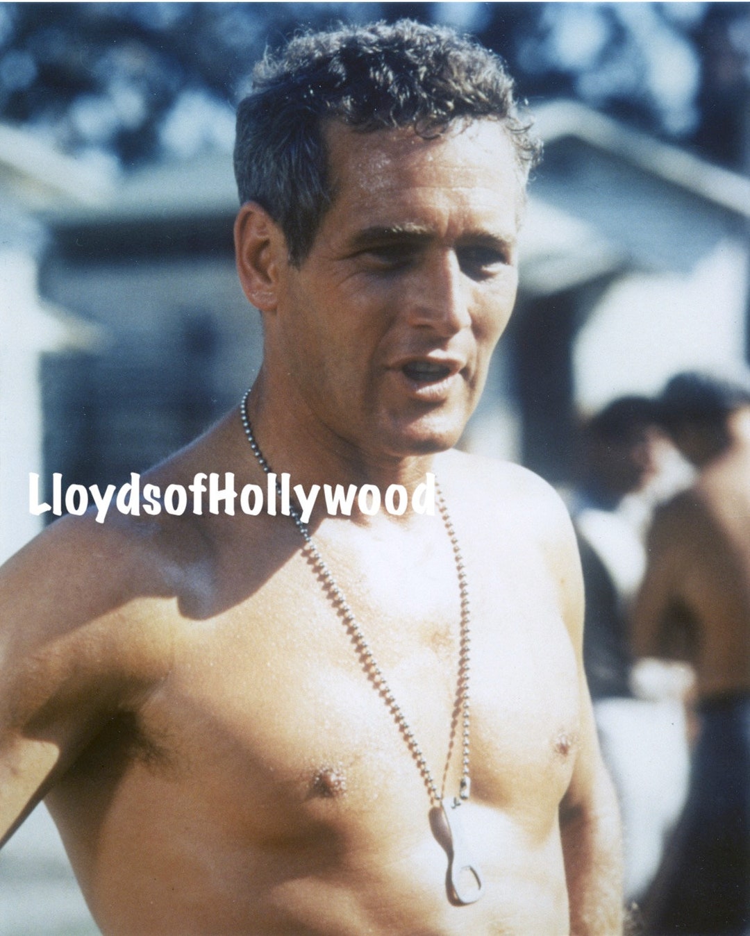 Paul Newman Cool Hand Luke Beefcake Hunk Photograph 1967 - Etsy
