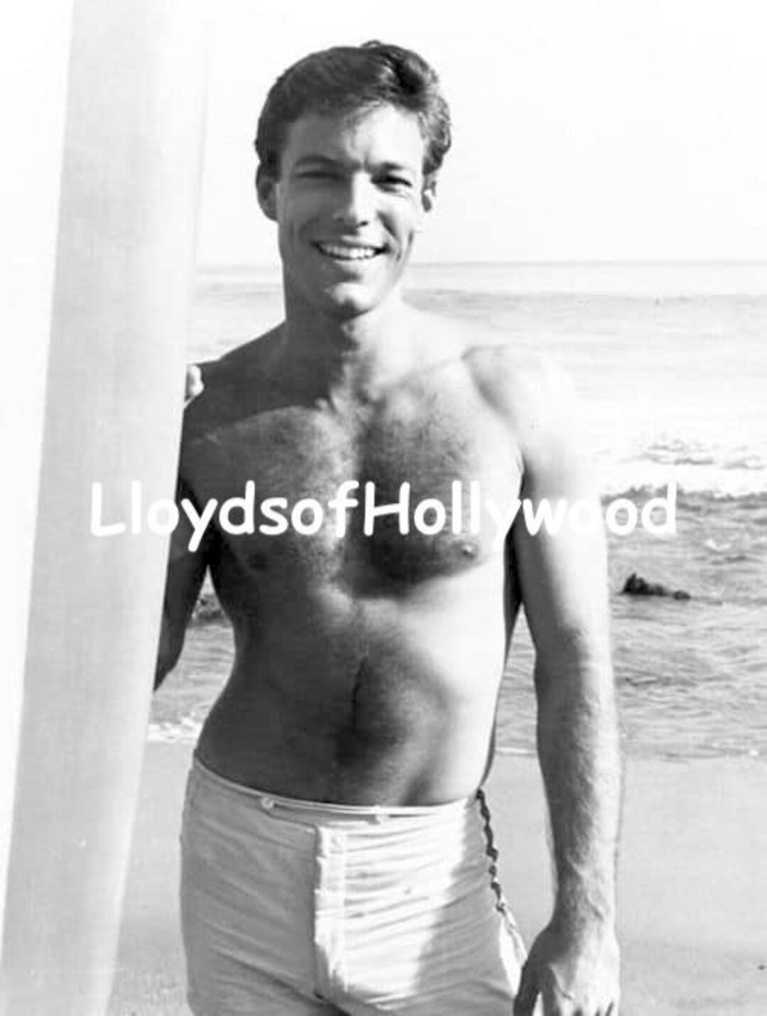 Richard Chamberlain Handsome Hollywood Actor and TV Movie Star Hunk ...