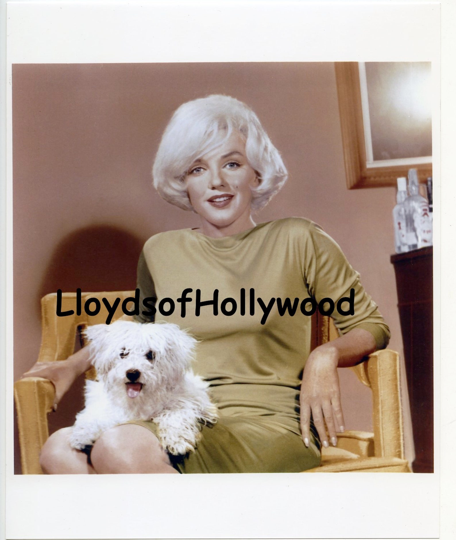 Marilyn Monroe With Her Beloved Maltese Dog Maff Honey Wearing Pucci ...