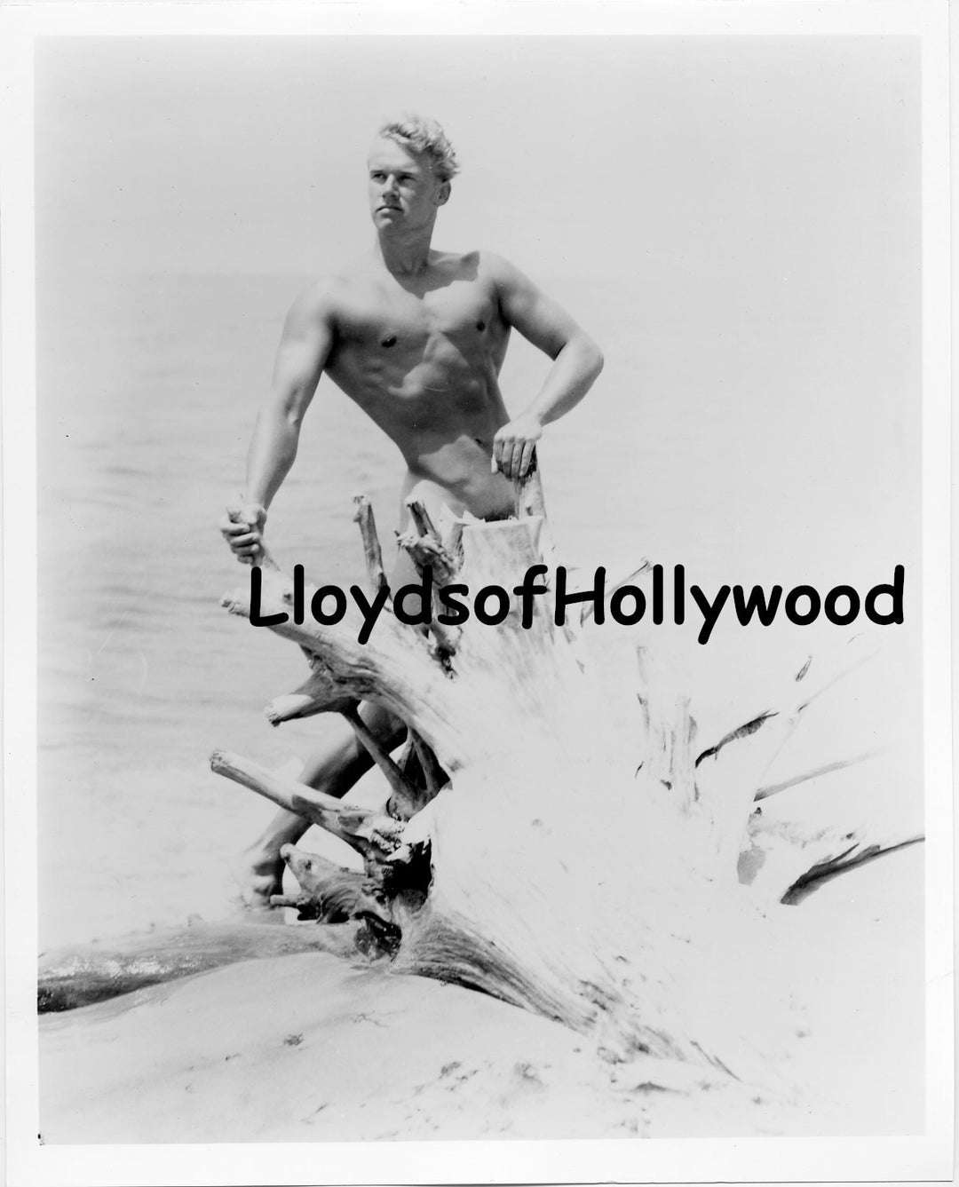 Mature Content Richard Alan Physique Model Against Driftwood - Etsy ...
