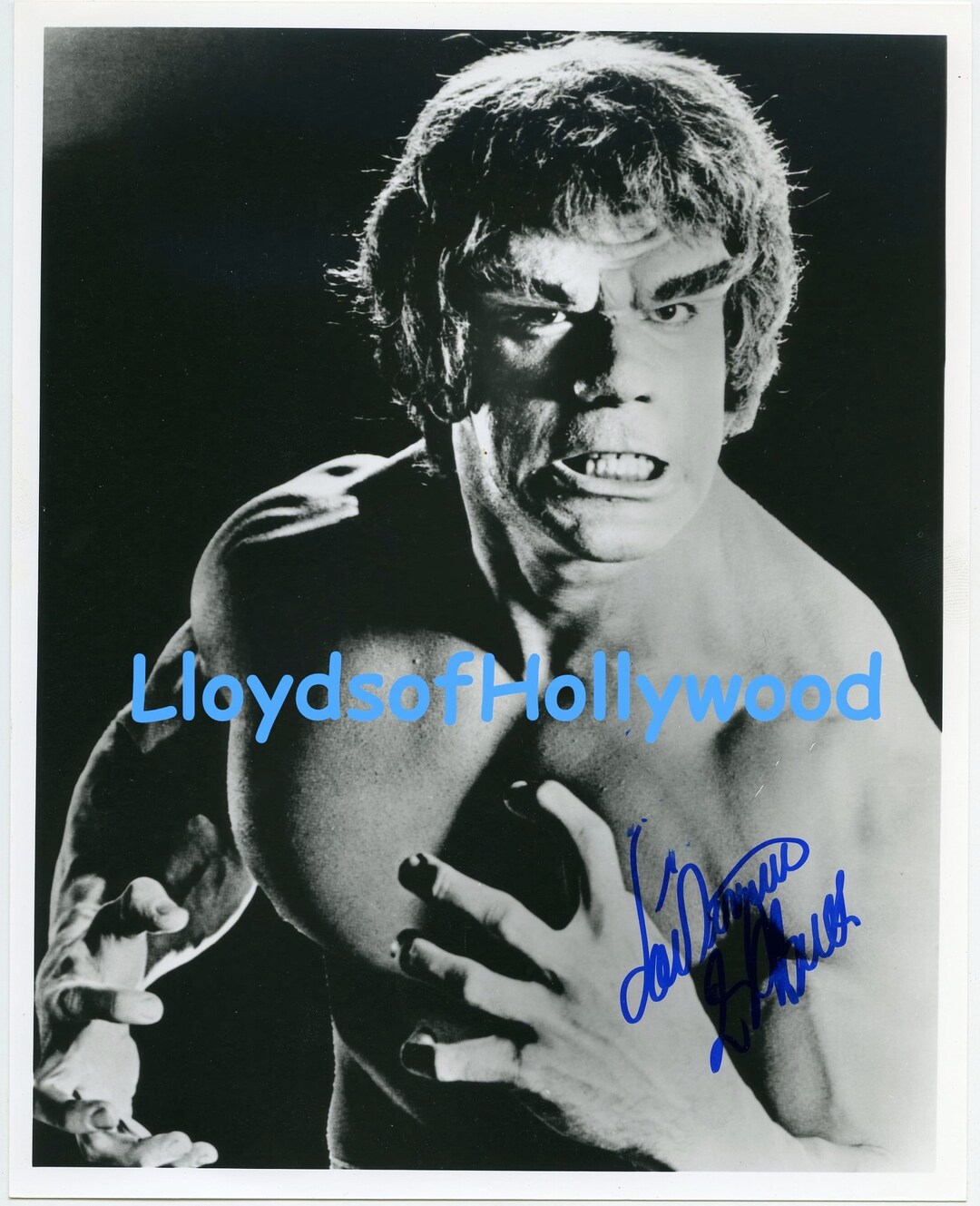 Lou Ferrigno the Incredible Hulk Autograph Hand Signed Photograph - Etsy
