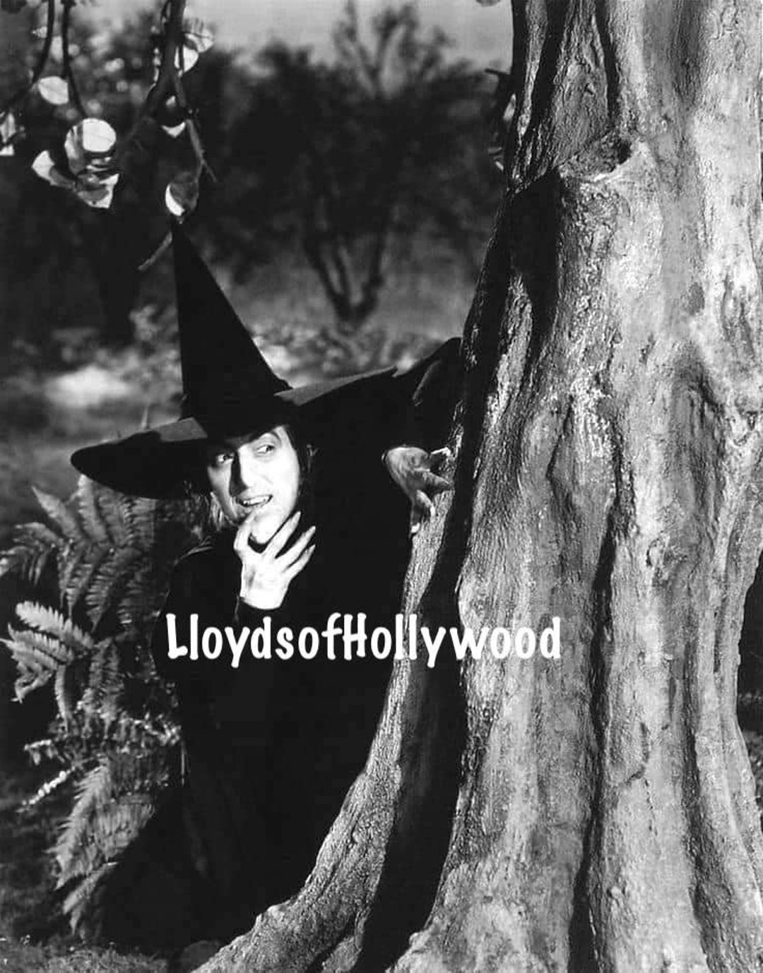 Wizard Of Oz Witch Of The East