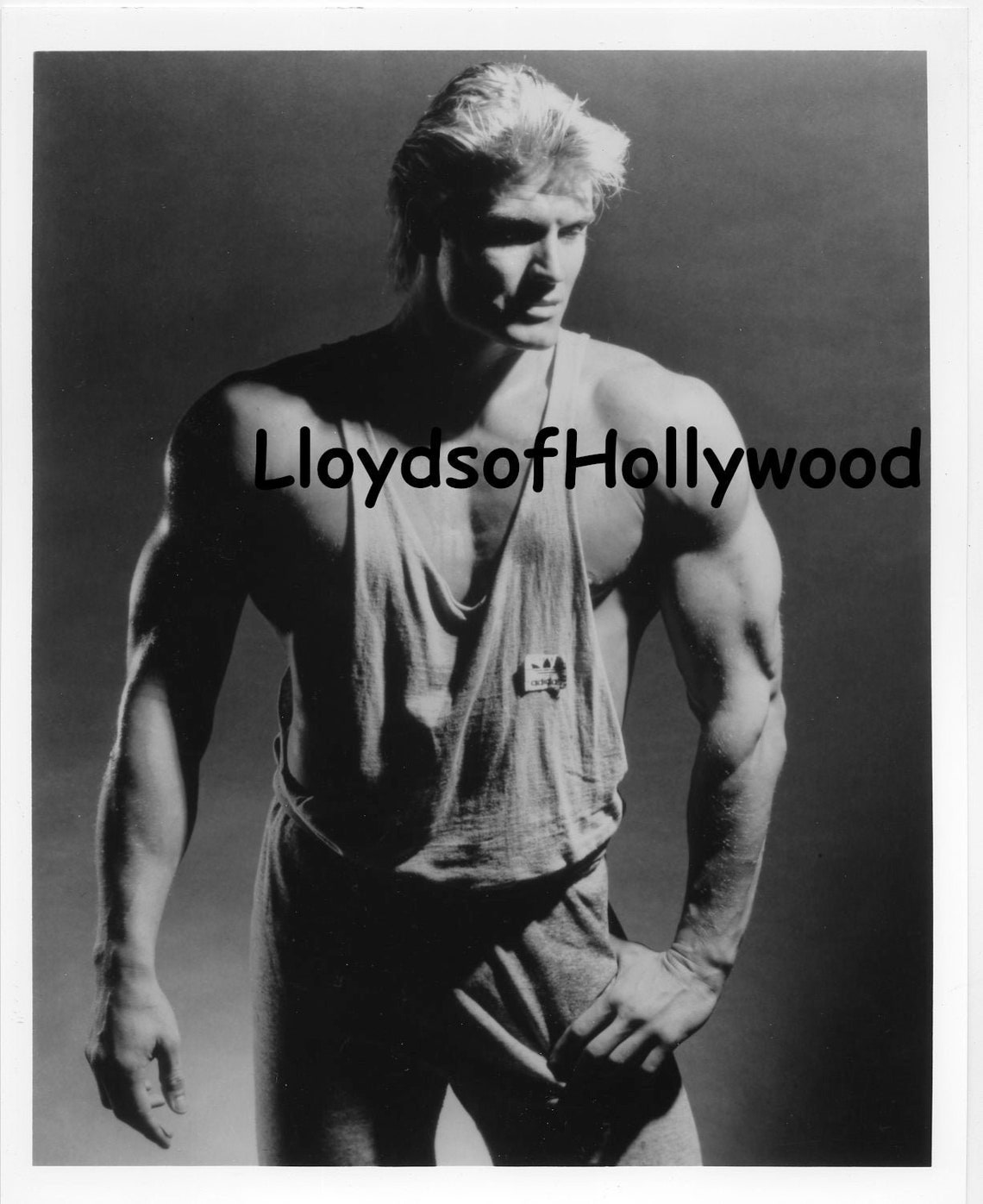 Dolph Lundgren Handsome Actor Bodybuilder Beefcake Hunk - Etsy