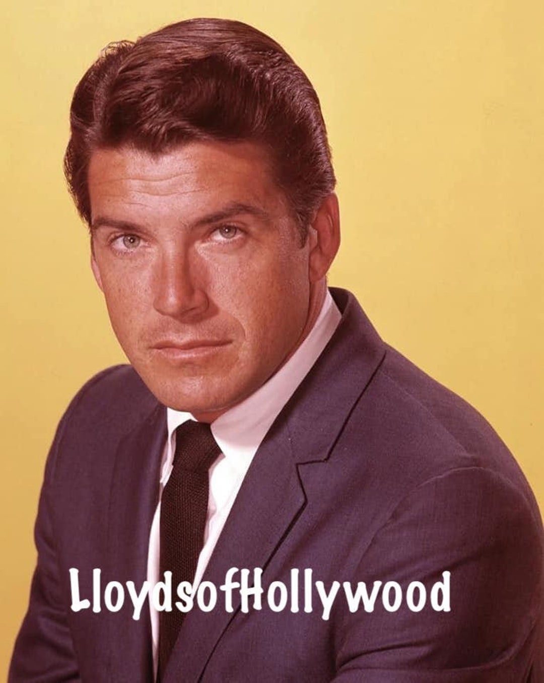Van Williams Handsome Hunk TV Star Action Hero Surfside Six the Green ...