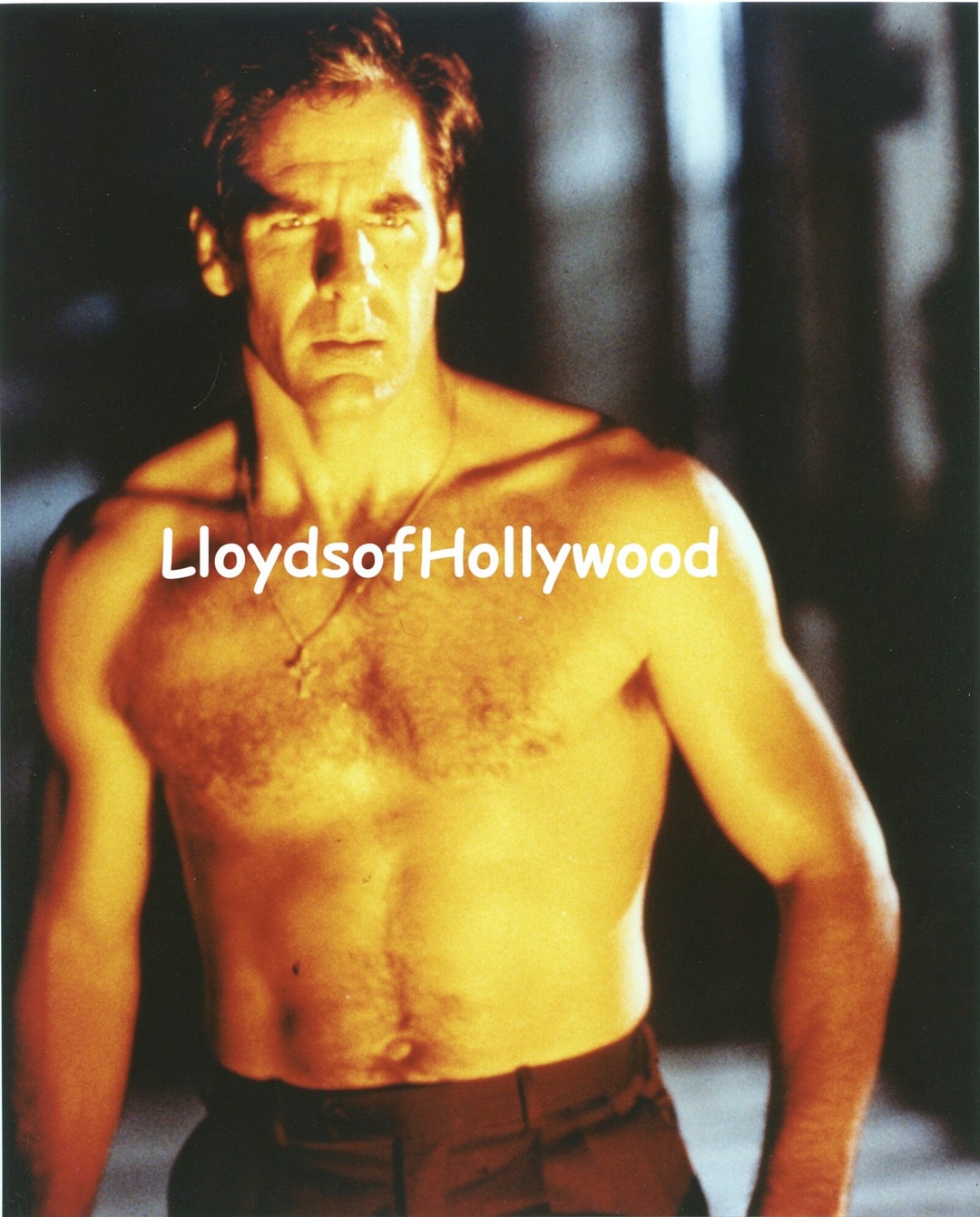 Scott Bakula Handsome TV Actor Quantum Leap TV Star Hairy Chest Hunk ...