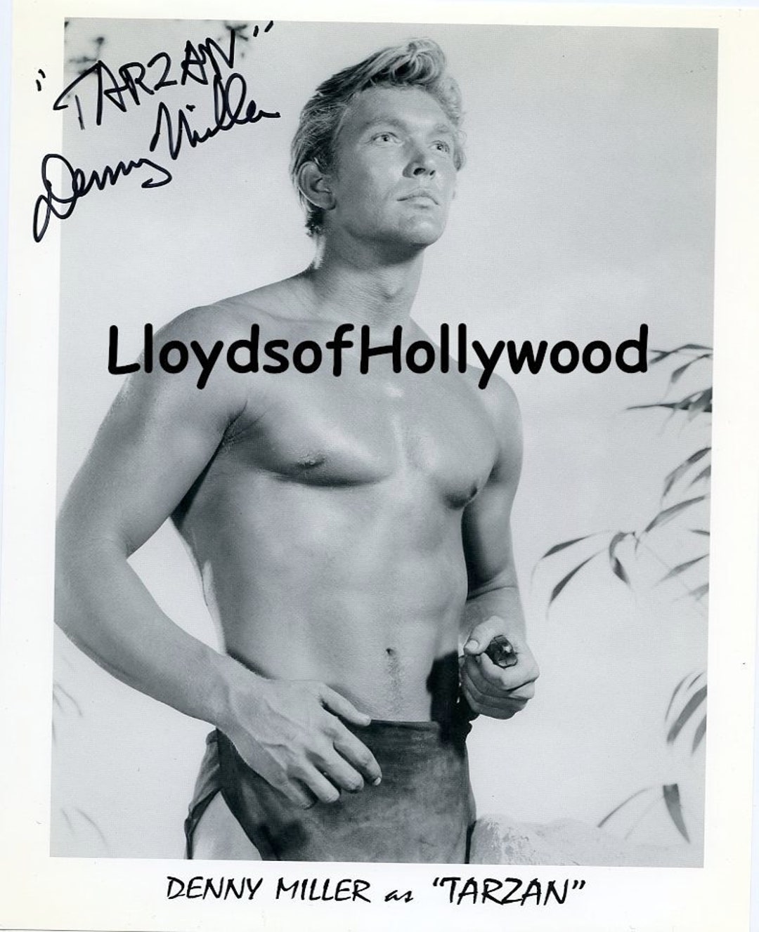 Denny Miller Handsome Actor Tarzan Autograph Hand Signed Photograph - Etsy
