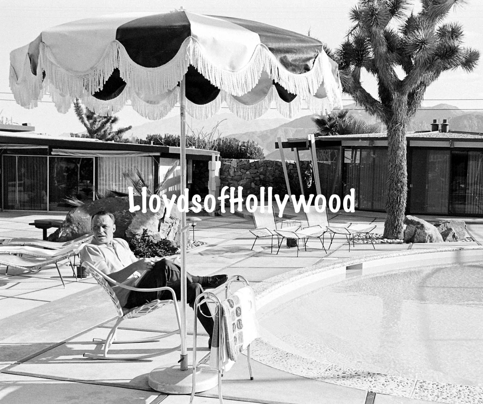 Frank Sinatra Actor Singer Hollywood Star at Home Relaxing by the Pool ...