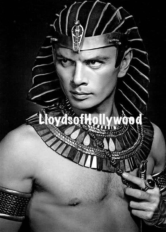 Yul Brynner Pharaoh Ramses Ten Commandments Costume Test Photograph ...
