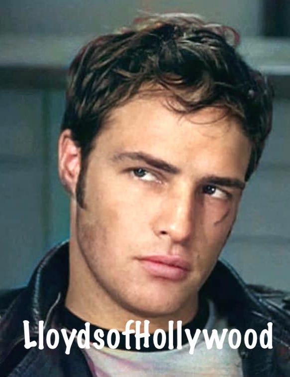 Marlon Brando Handsome Actor Hollywood Hunk in Leather the Wild One ...