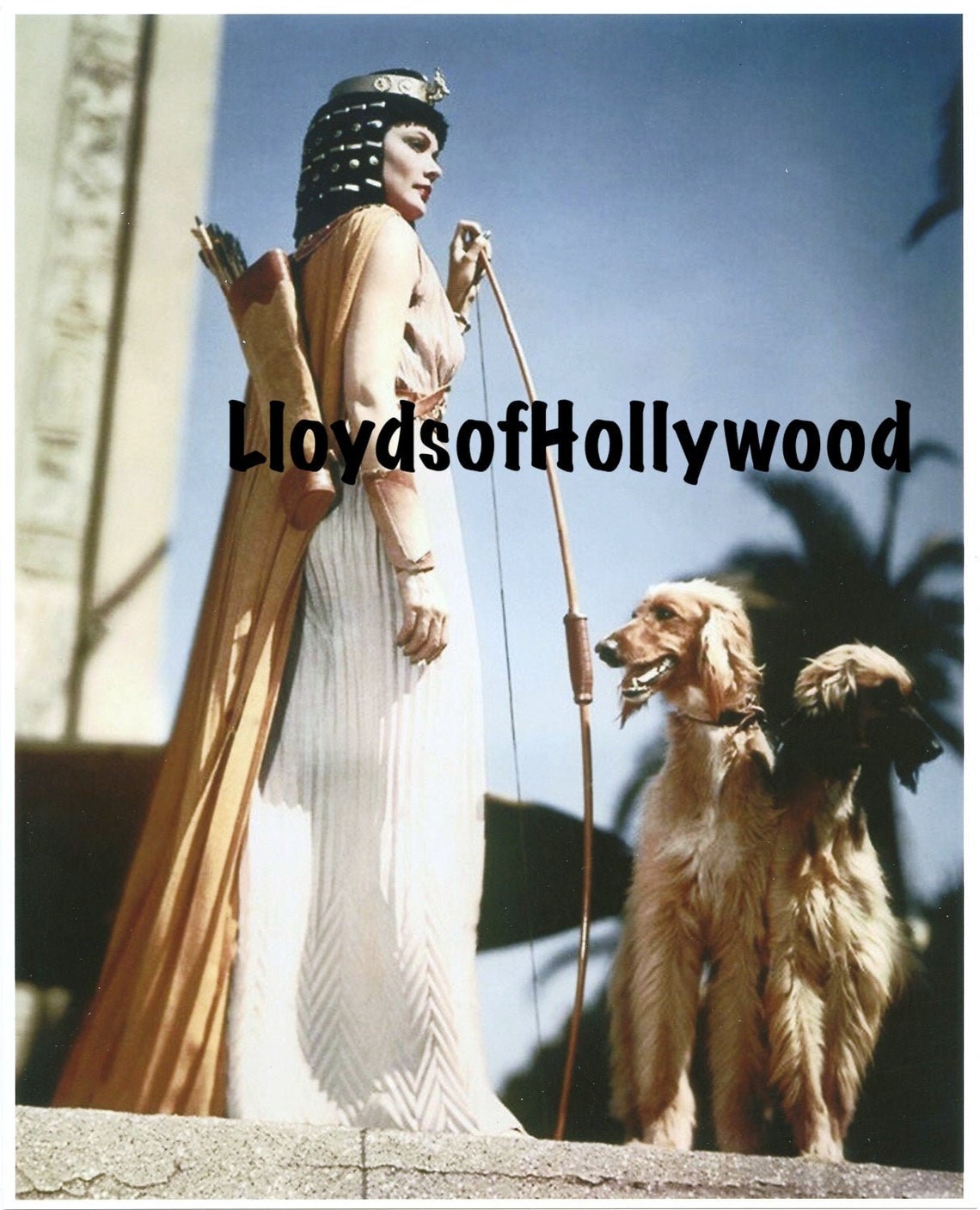 Gene Tierney Baketamon the Egyptian With Two Afghan Hounds Test ...