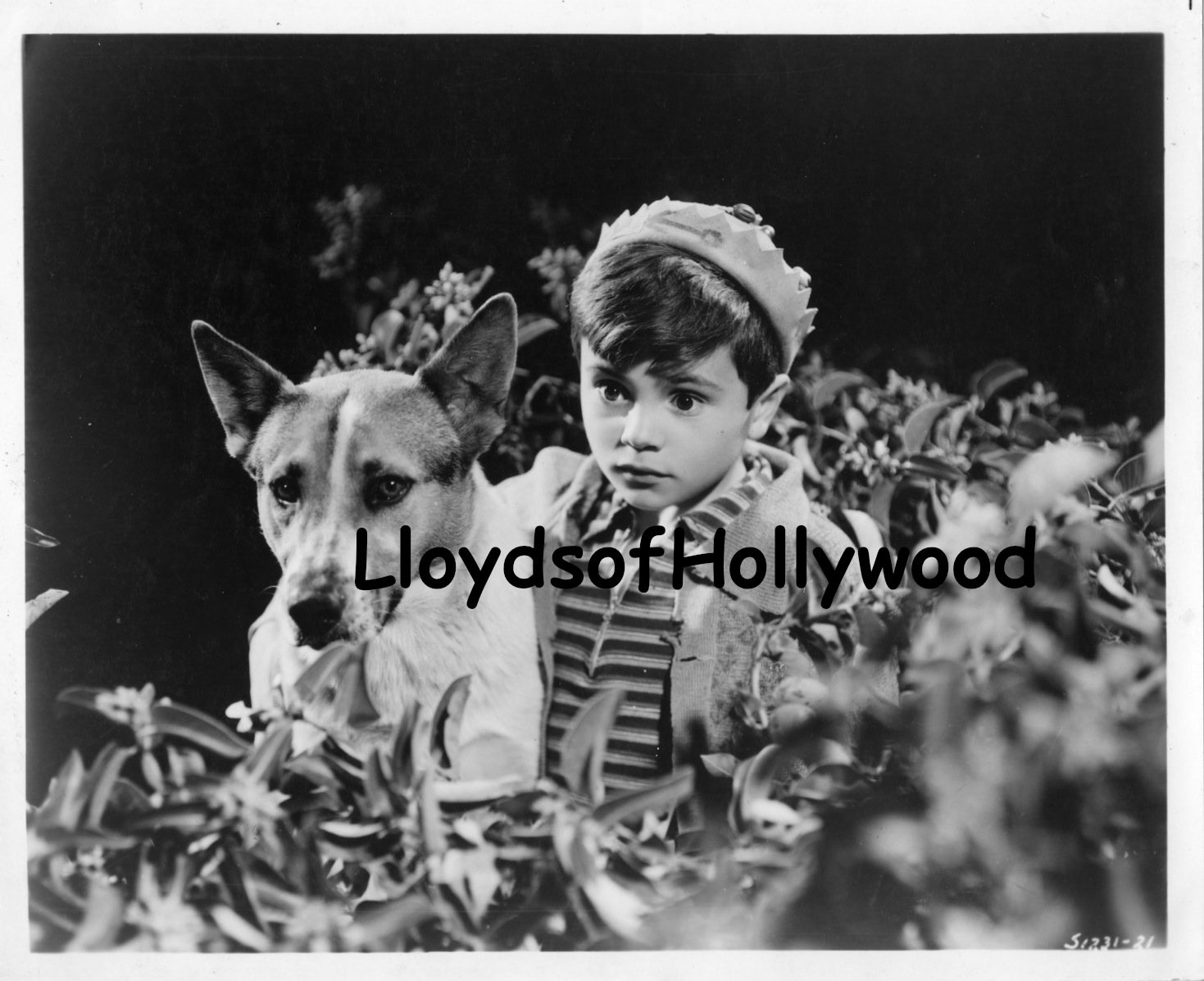 Robert Blake Innocent MGM Child Star Our Gang Rare Photograph - Etsy