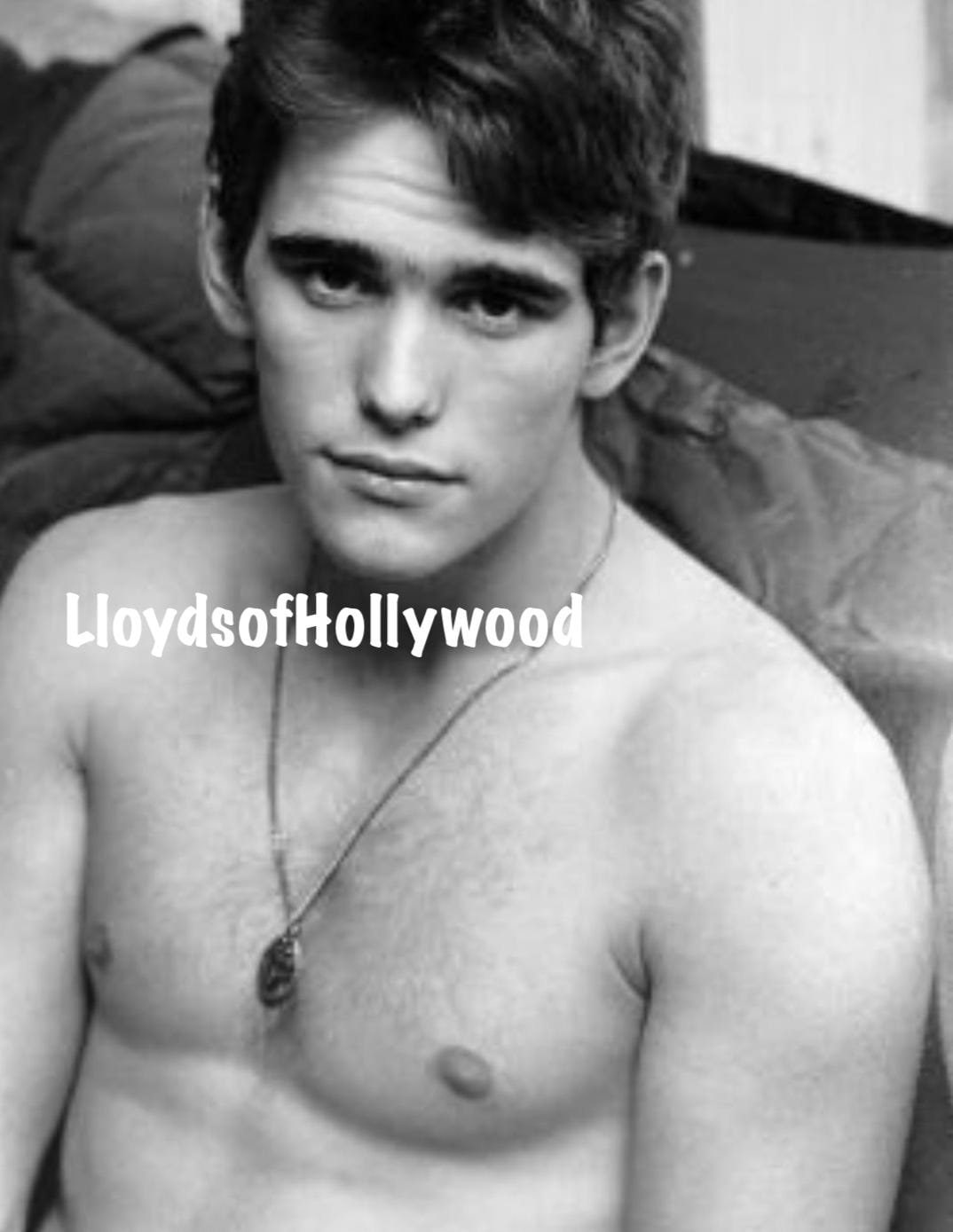 Matt Dillon Hollywood Actor Movie Star Hunk Celebrity Close up ...