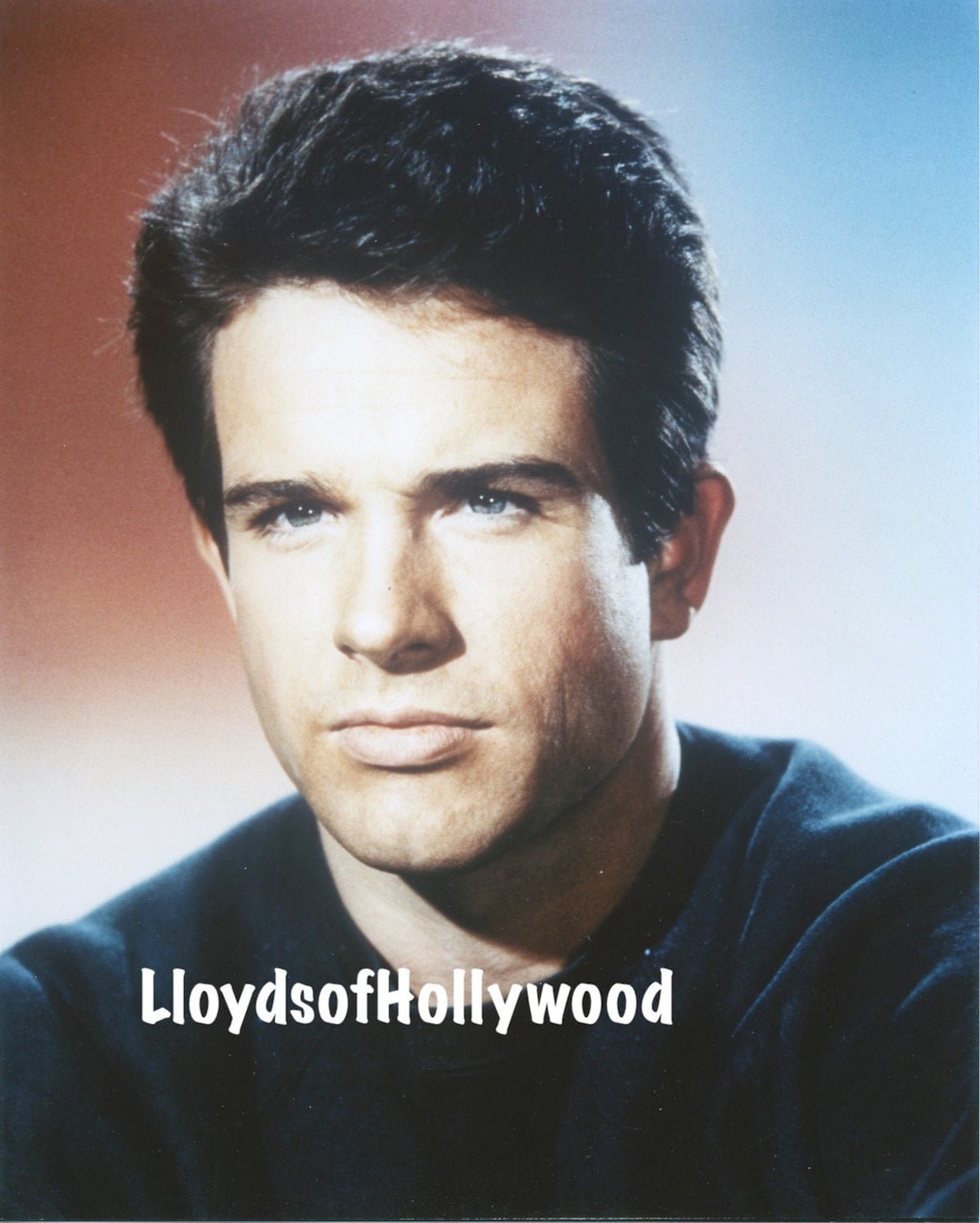 Warren Beatty Handsome Hollywood Hunk Splendor in the Grass Photograph ...