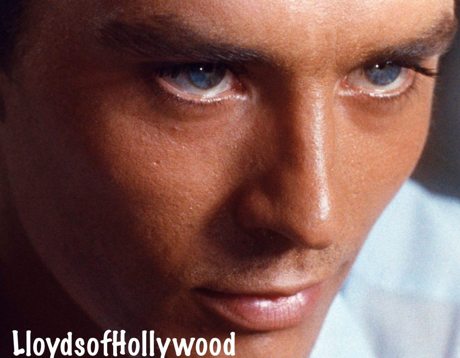 Alain Delon Handsome French Actor International Star Extreme Close up ...