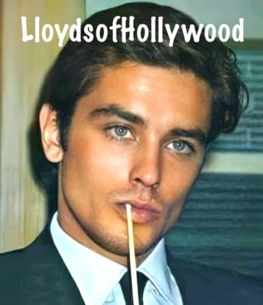 Alain Delon Handsome French Actor International Movie Star Photograph ...