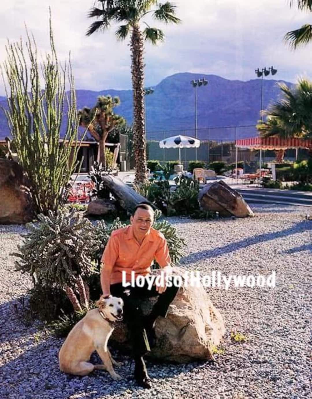 Frank Sinatra Actor Singer Hollywood Star at Home Relaxing With His Dog ...