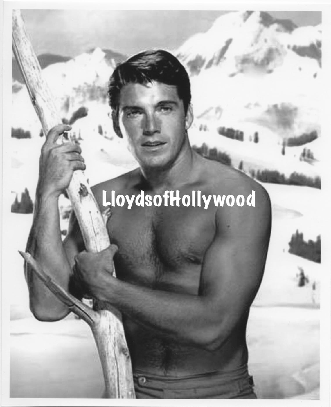 Van Williams Surfside Six the Green Hornet Beefcake Photograph 1960 - Etsy