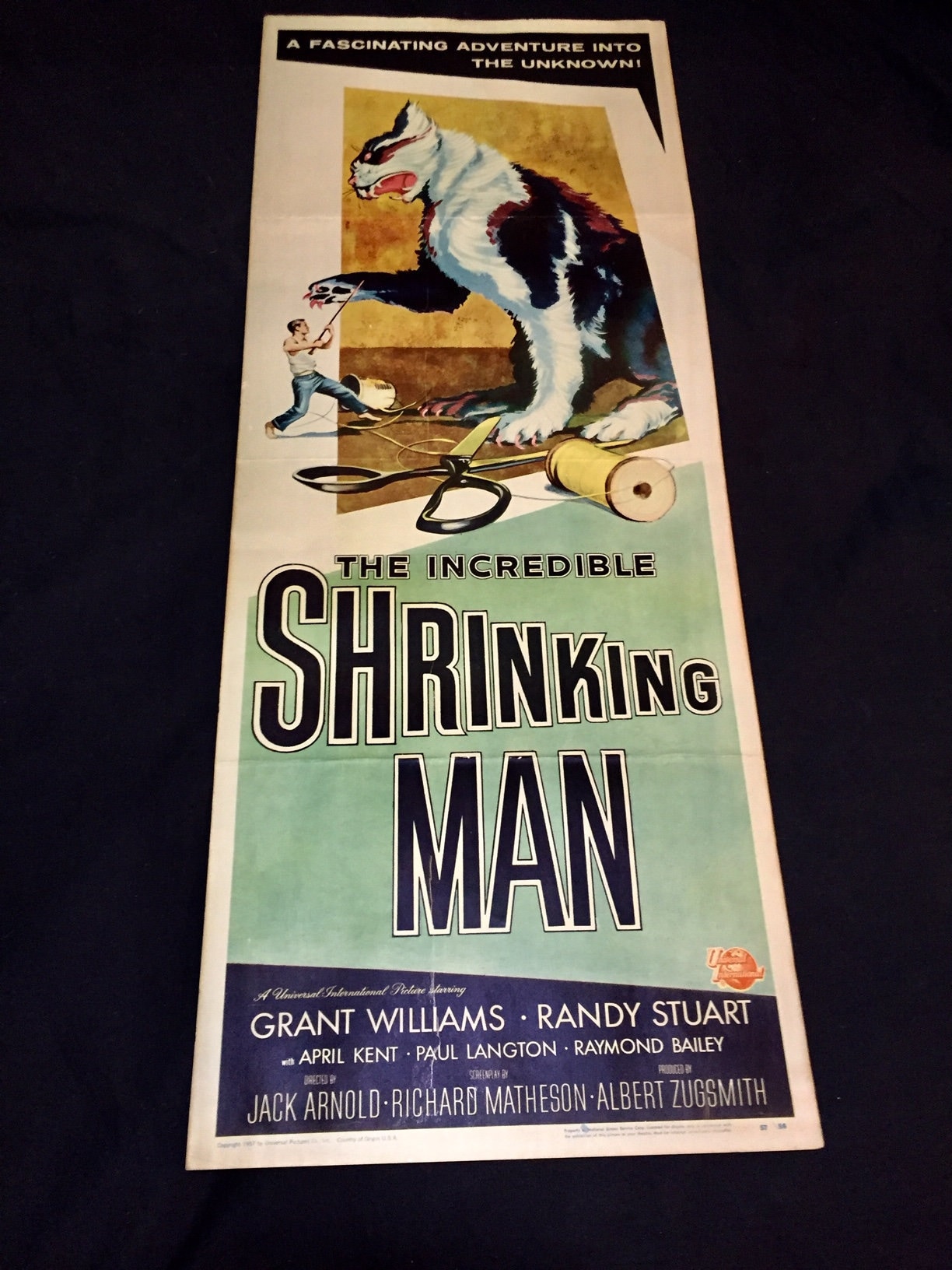 Incredible Shrinking Man Poster