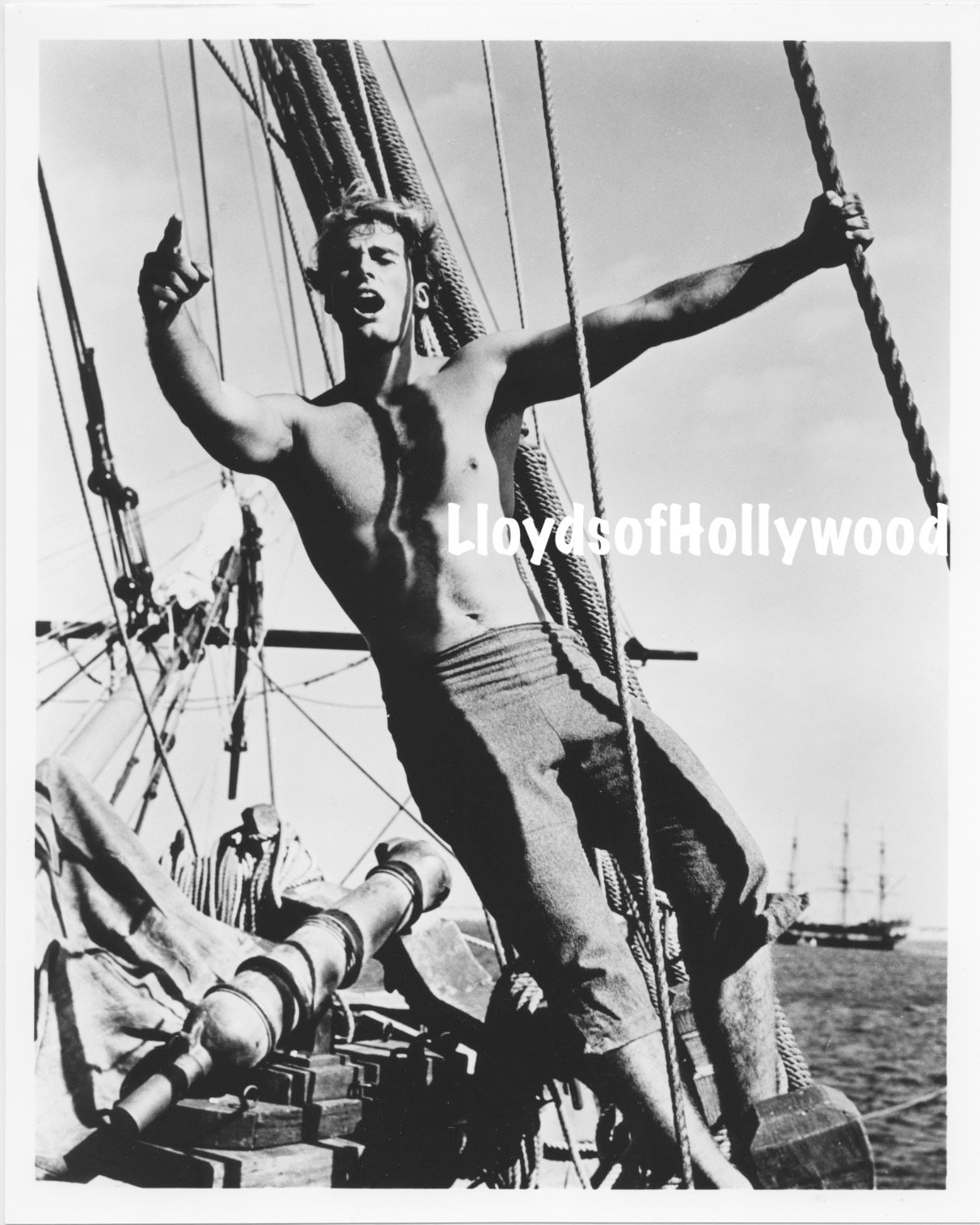Sean Flynn Son of Errol Flynn Handsome Hollywood Star Son of Captian ...