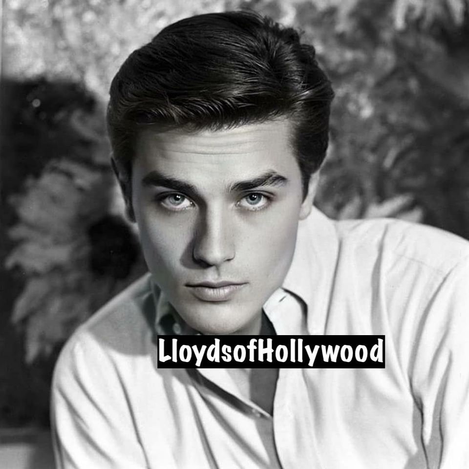 Alain Delon Handsome French Actor International Movie Star Photograph ...