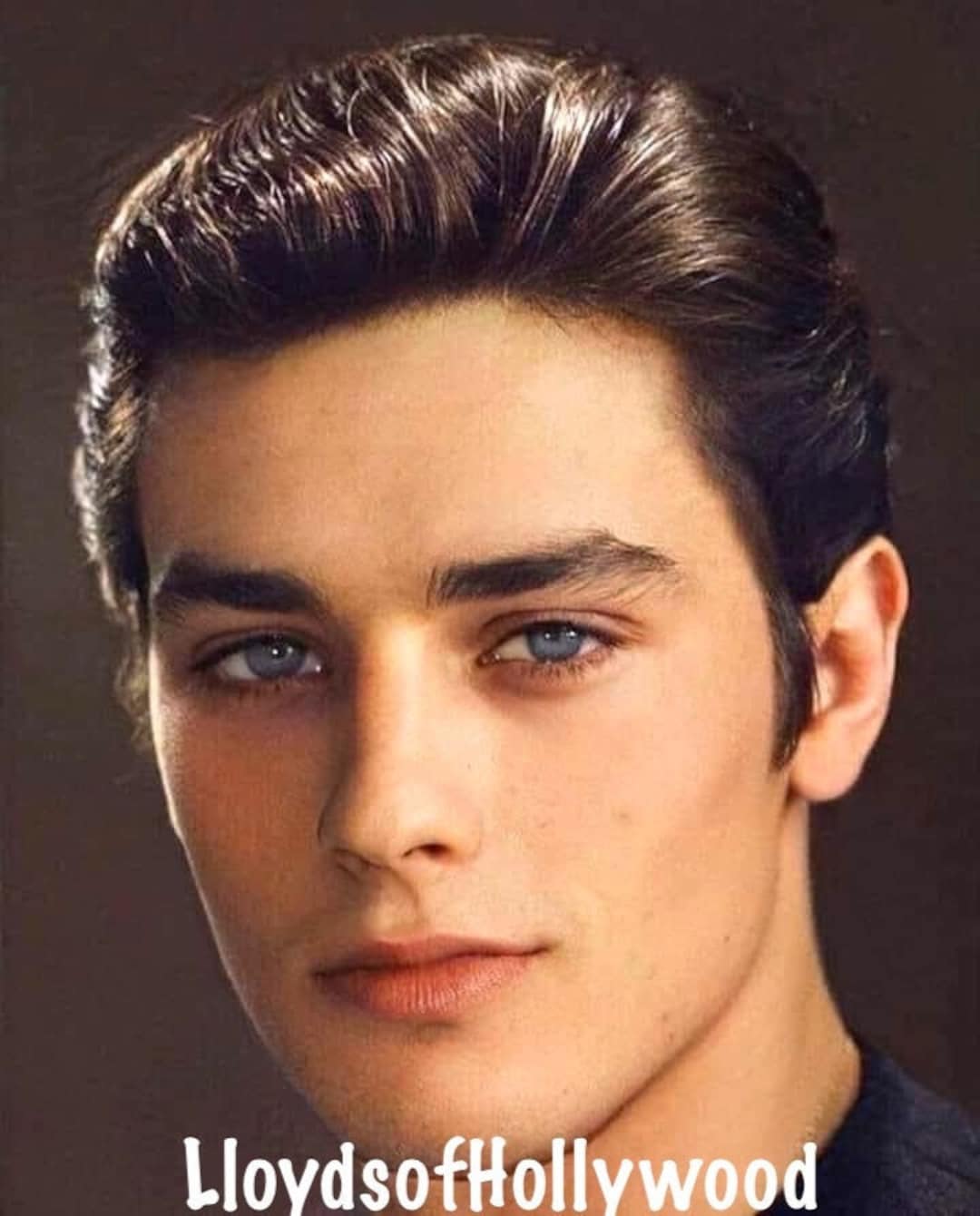 Alain Delon Actor Alain Delon Actor
