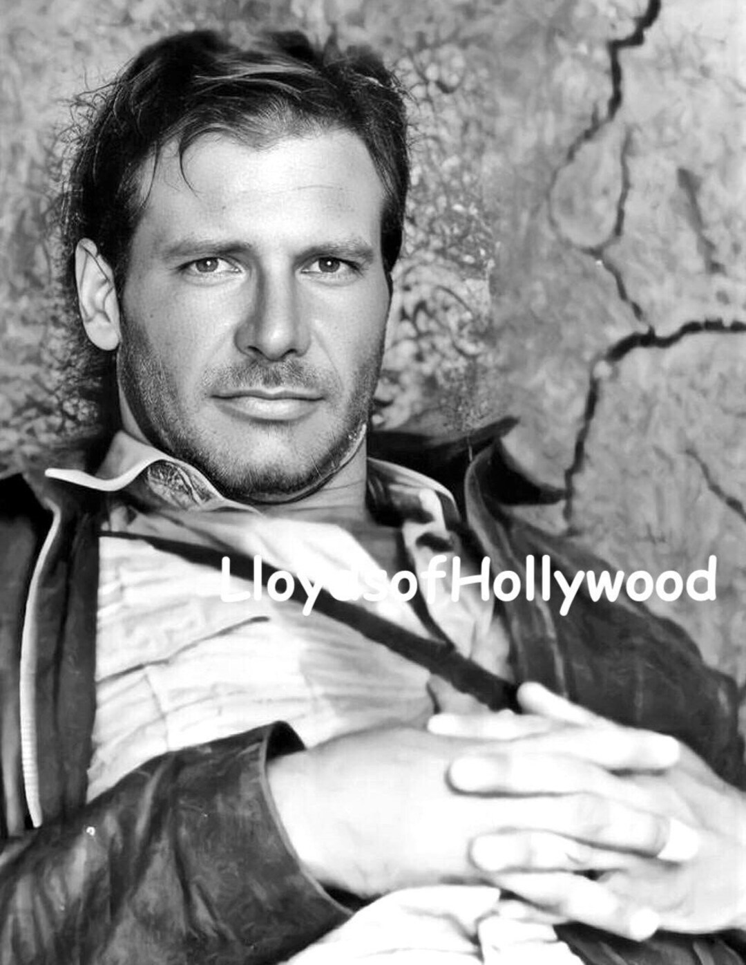 Harrison Ford Handsome Hollywood Actor Movie Star Indiana Jones Raiders ...