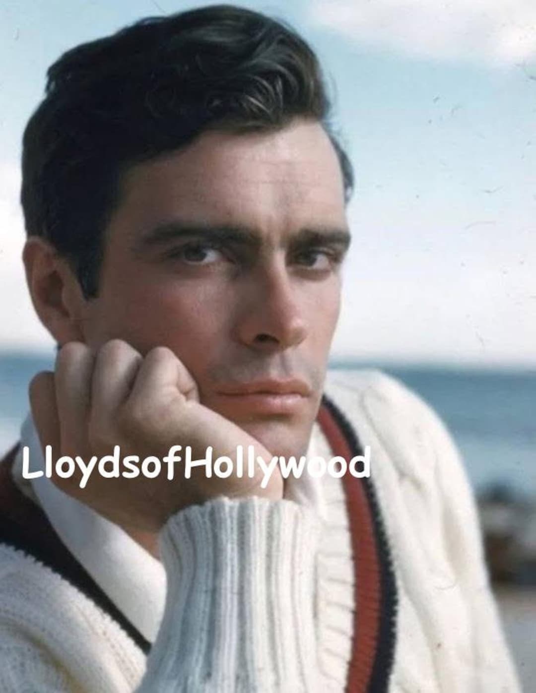 Gardner Mckay Handsome Hollywood TV Actor Adventures in Paradise ...