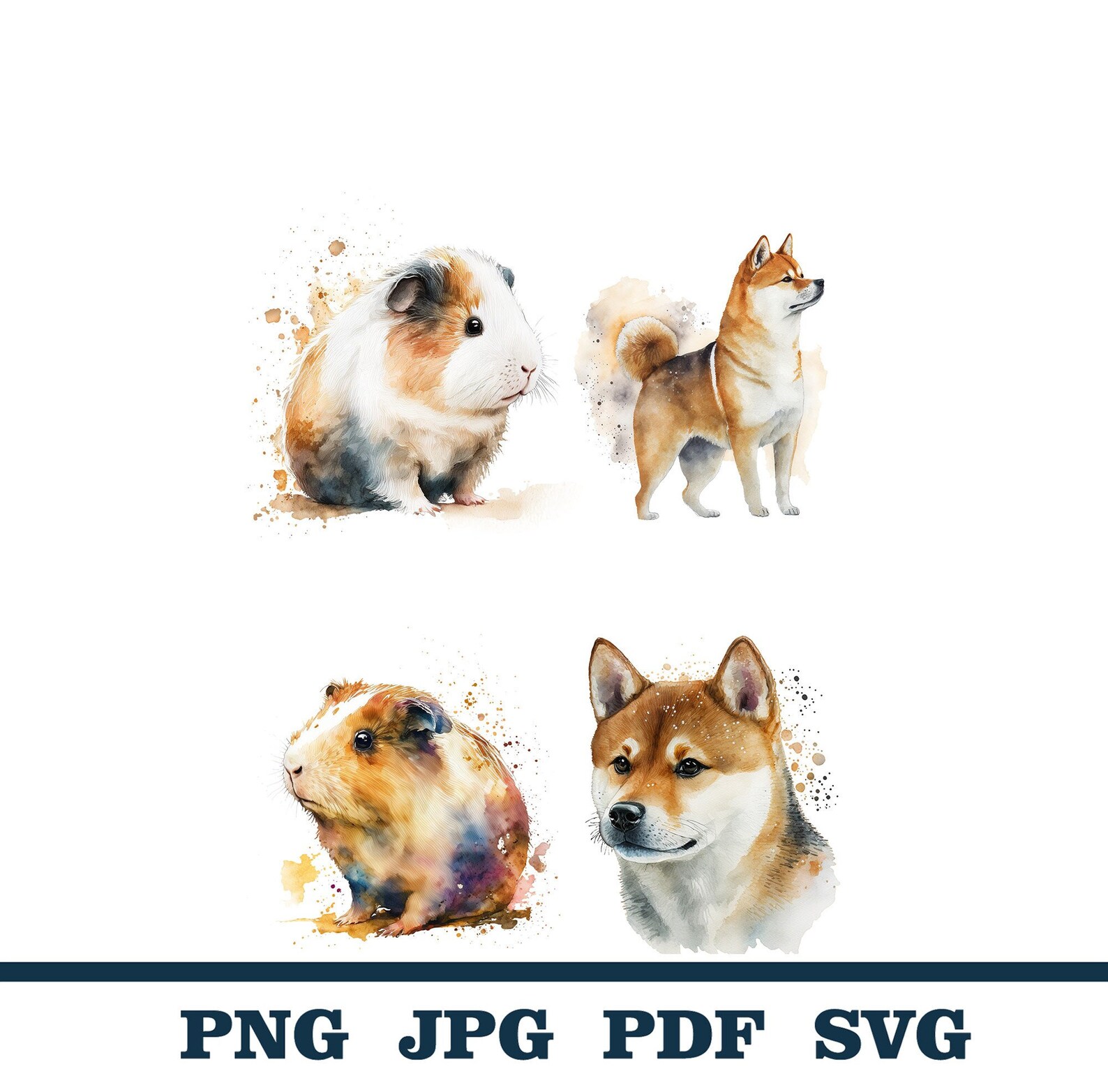 Guinea Pig Png Clipart Guinea Pigs Watercolor Cute Animals - Etsy
