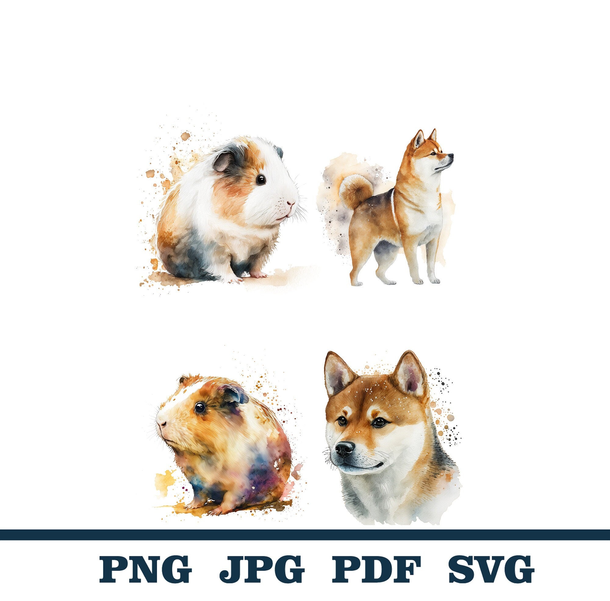 Guinea Pig Png Clipart Guinea Pigs Watercolor Cute Animals - Etsy