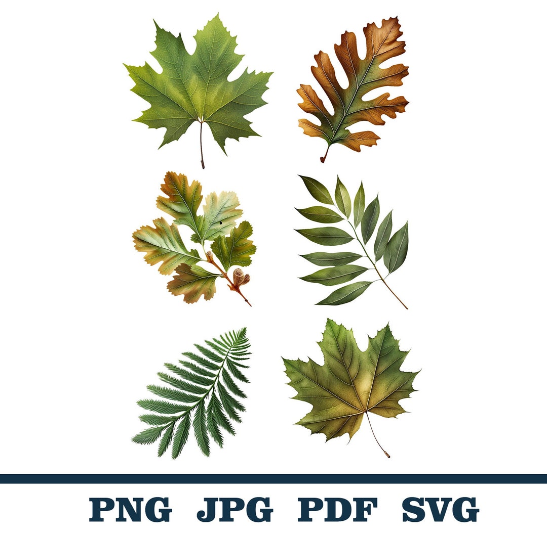 Fall Leaves Clipart Autumn Leaf Green Leaves Clipart Leaf - Etsy