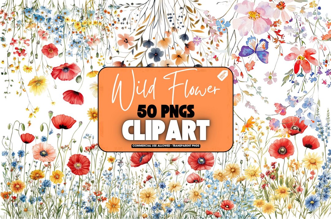 50 Watercolor Wildflower Clipart PNG, Floral Botanical Illustrations ...