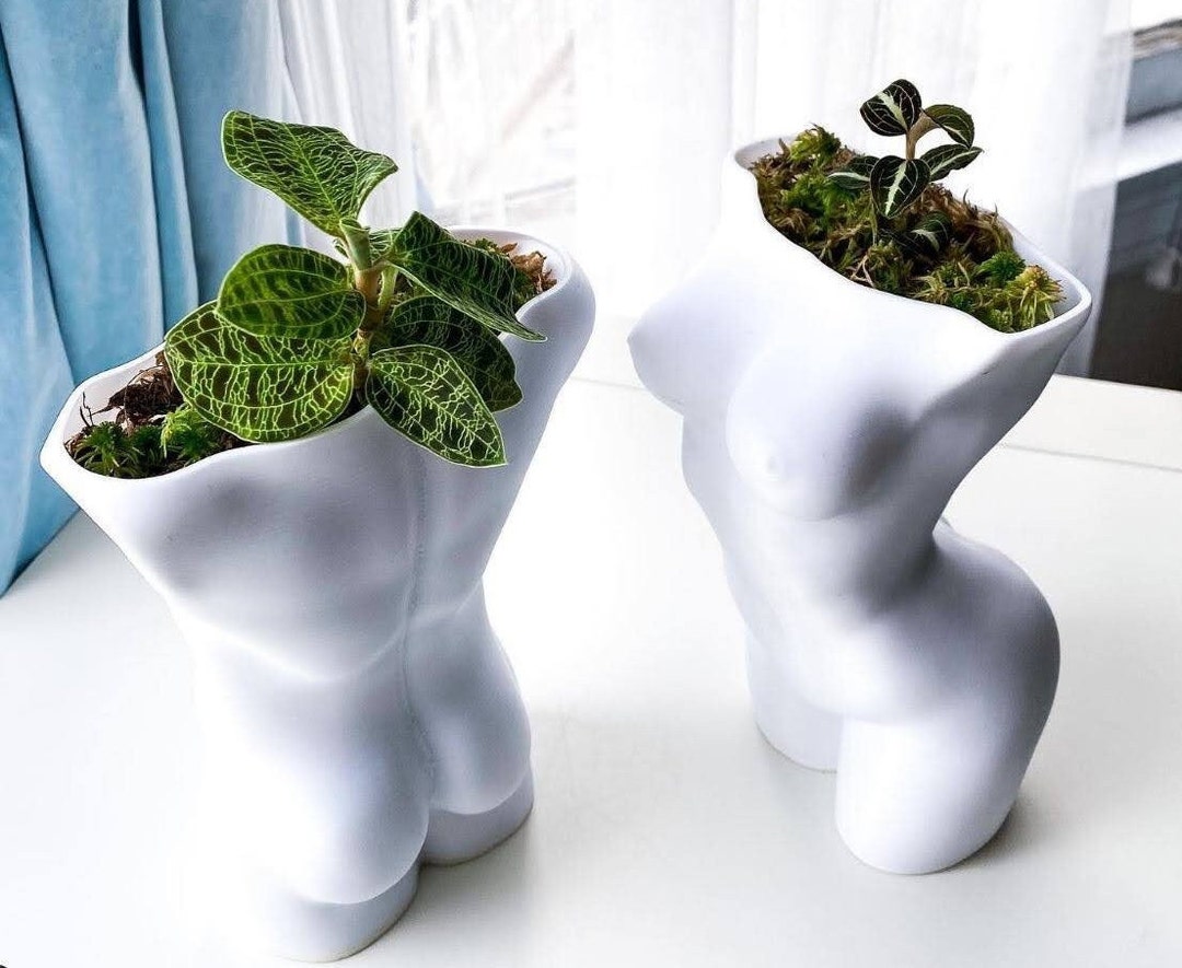 Body Succulent Planter Set of Two | Succulent Planter With Drainage ...