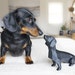 Set of 3 Dachshund Figurines | Sausage Dog Statues | Dachshund Gift ...