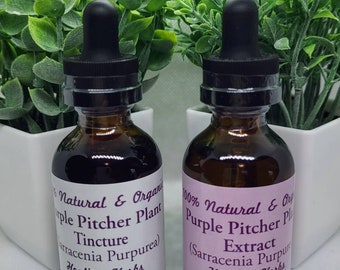 Pitcher Plant sarracenia Purpurea - Etsy