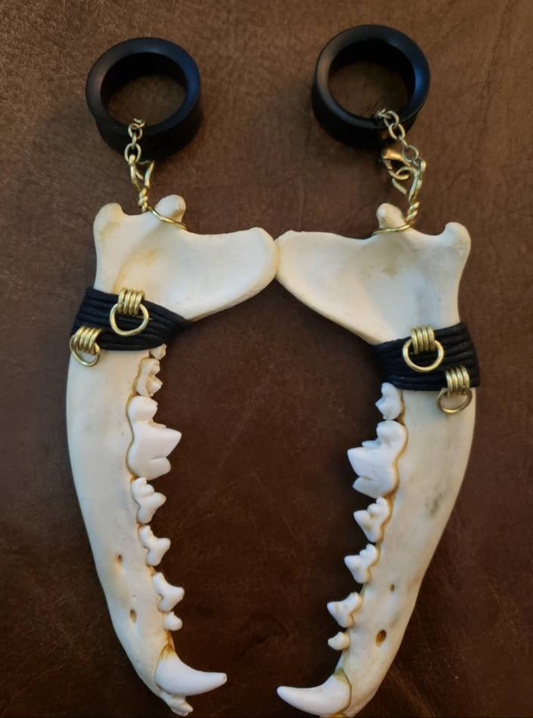 Coyote Jaw Bone Hangers With Gold Coils. *real Humanely Collected Bones ...