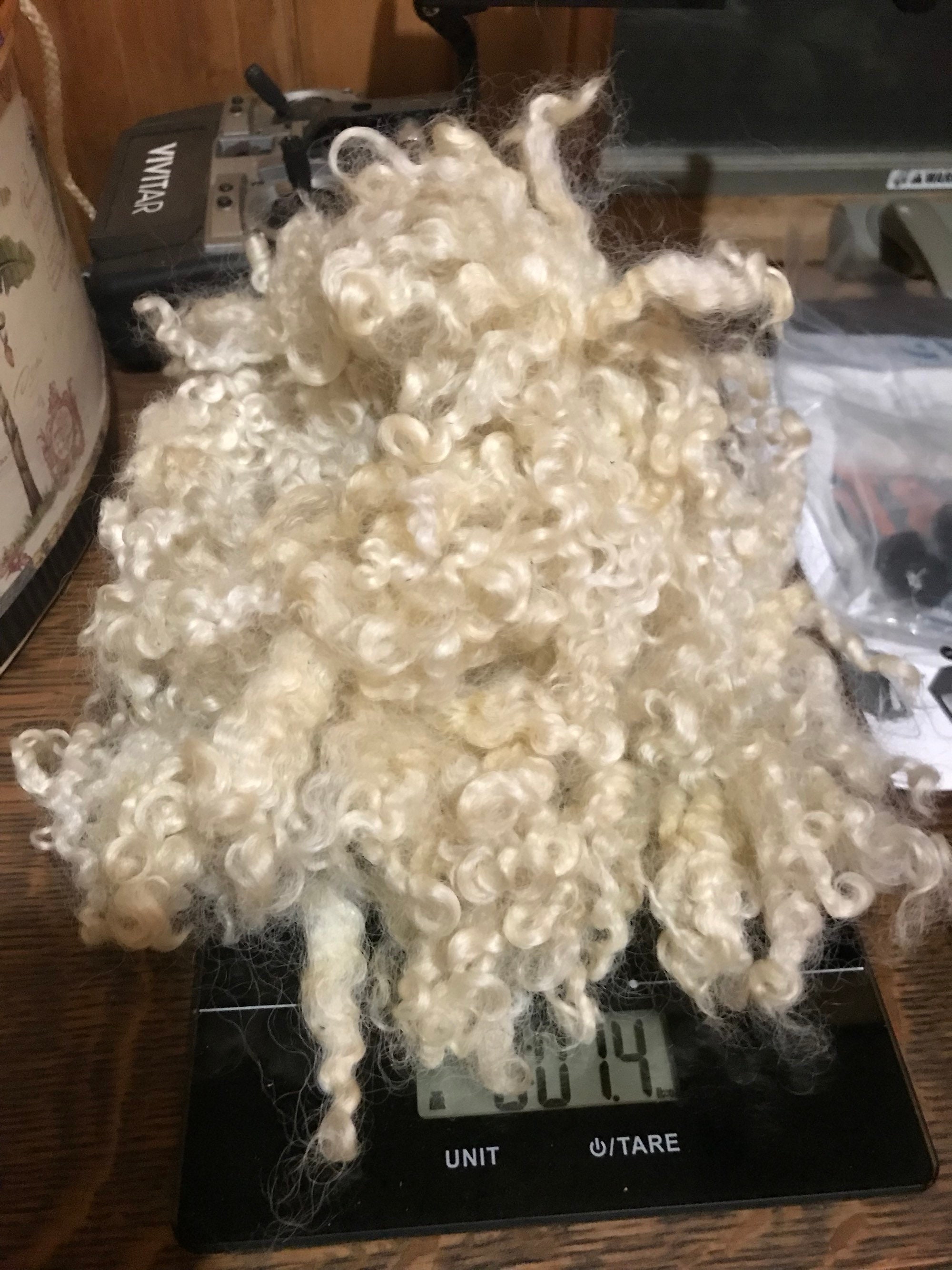 Raw Wool, Roving, Gotland and Teeswater - Etsy